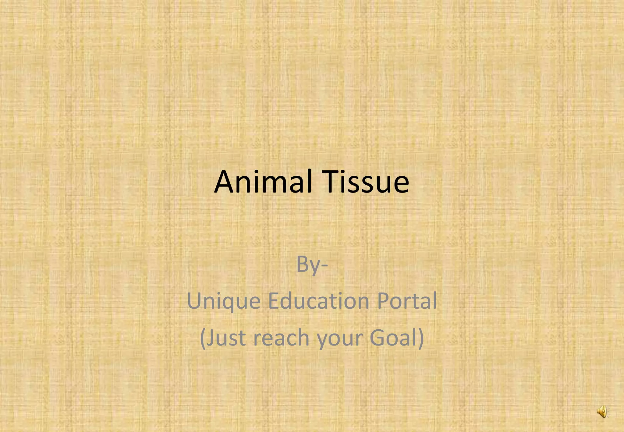 Animal tissue | PDF
