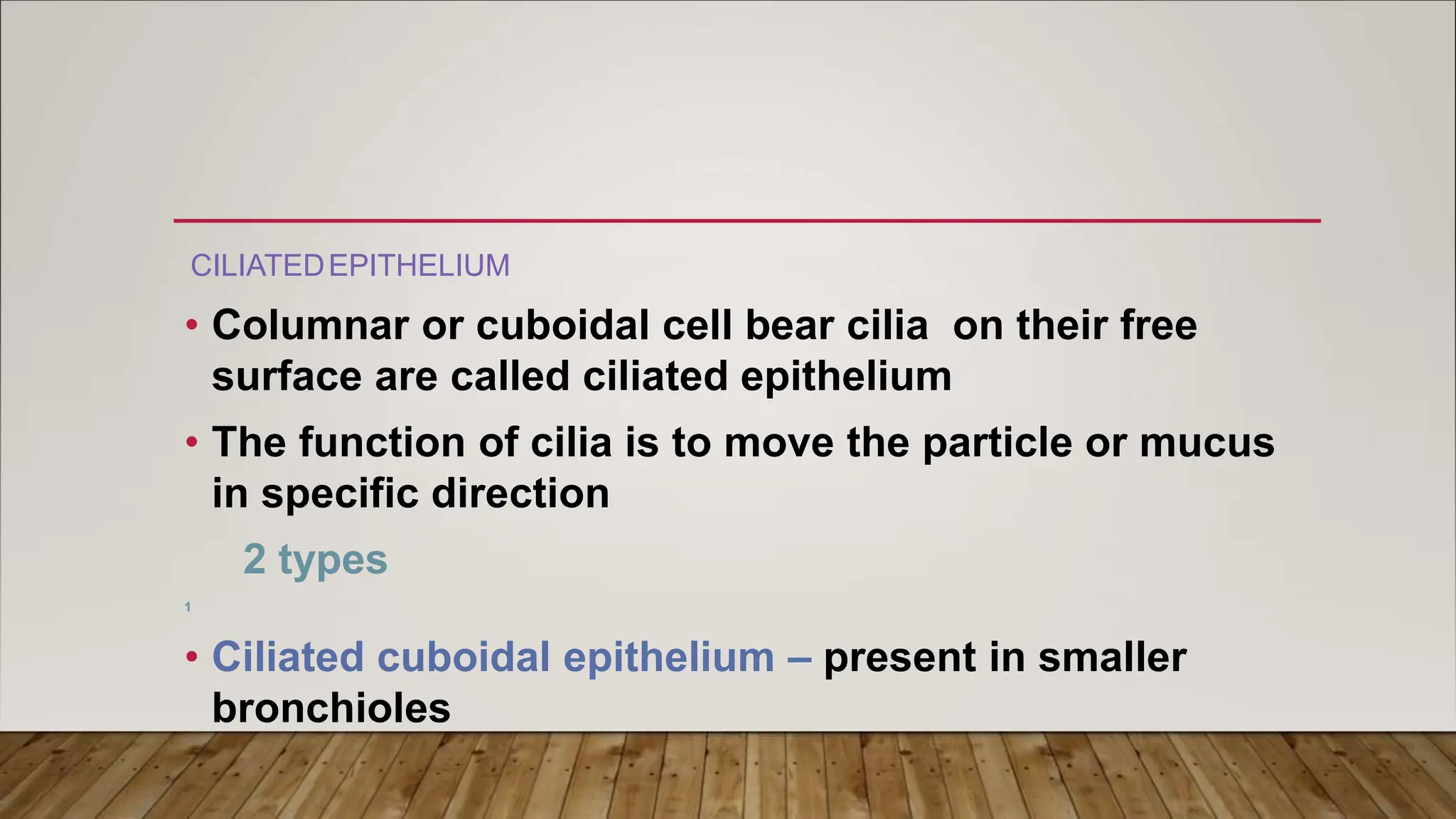animal tissue class 12th ncert for neet .ppt