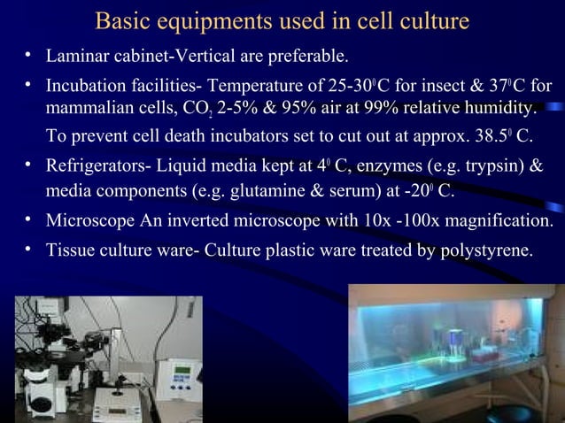 Animal tissue culture | PPT
