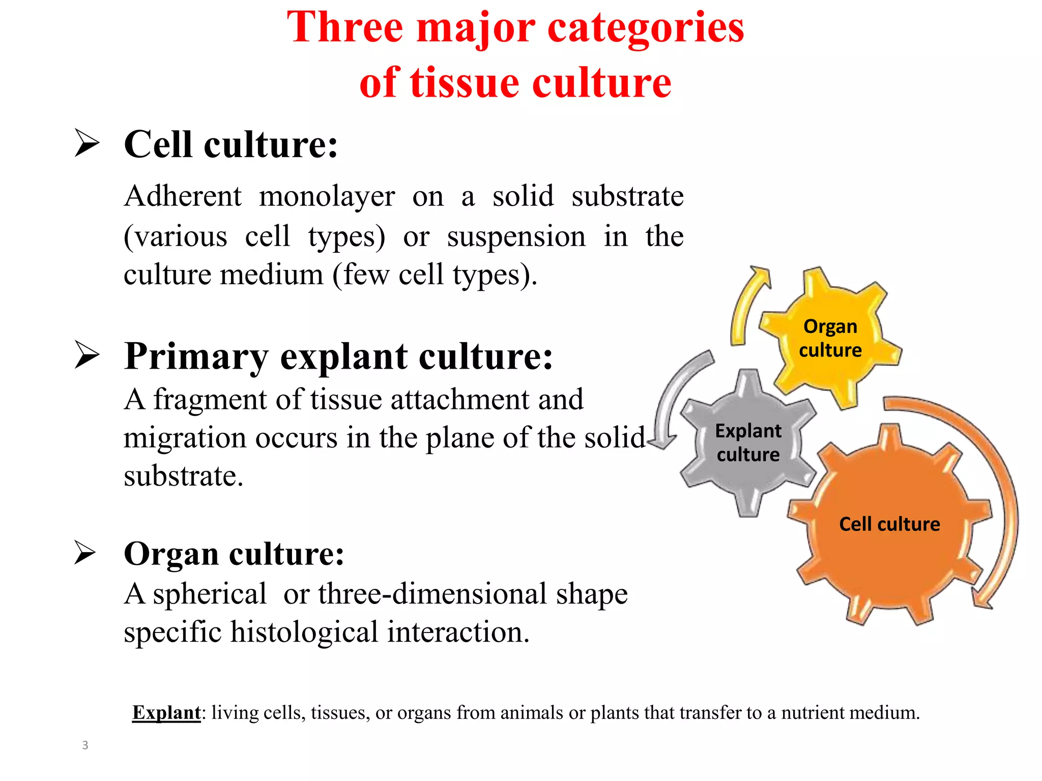 Animal tissue culture lecture 1 | PPTX