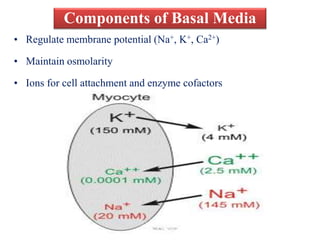 Animal tissue culture (media) | PPTX