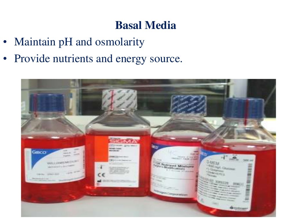 Animal tissue culture (media)