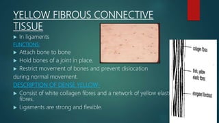 Animal tissue(life science) | PPTX