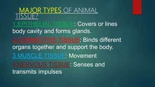 Animal tissue(life science) | PPT