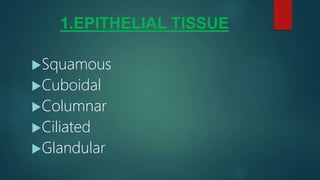 Animal tissue(life science) | PPT
