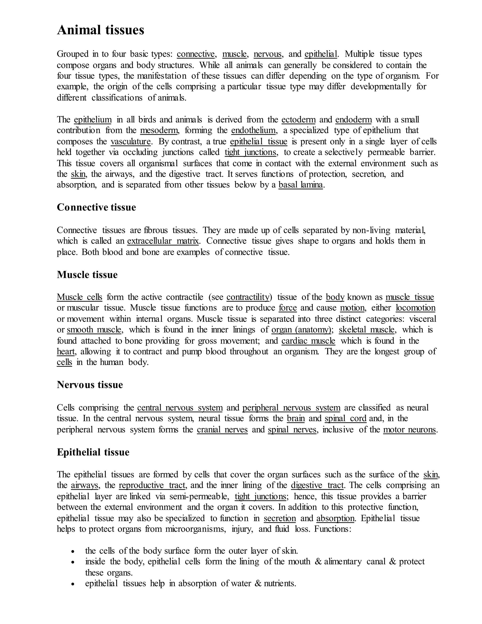 Animal tissues | DOCX