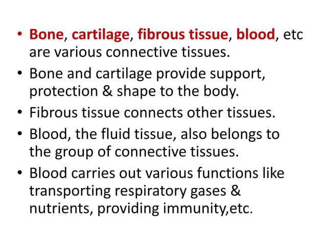 ANIMAL TISSUES - ICT BASED | PPTX