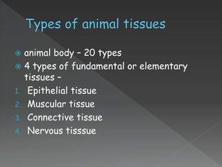 Animal tissues | PPT