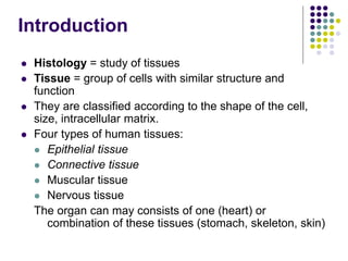 Animal_Tissues.ppt