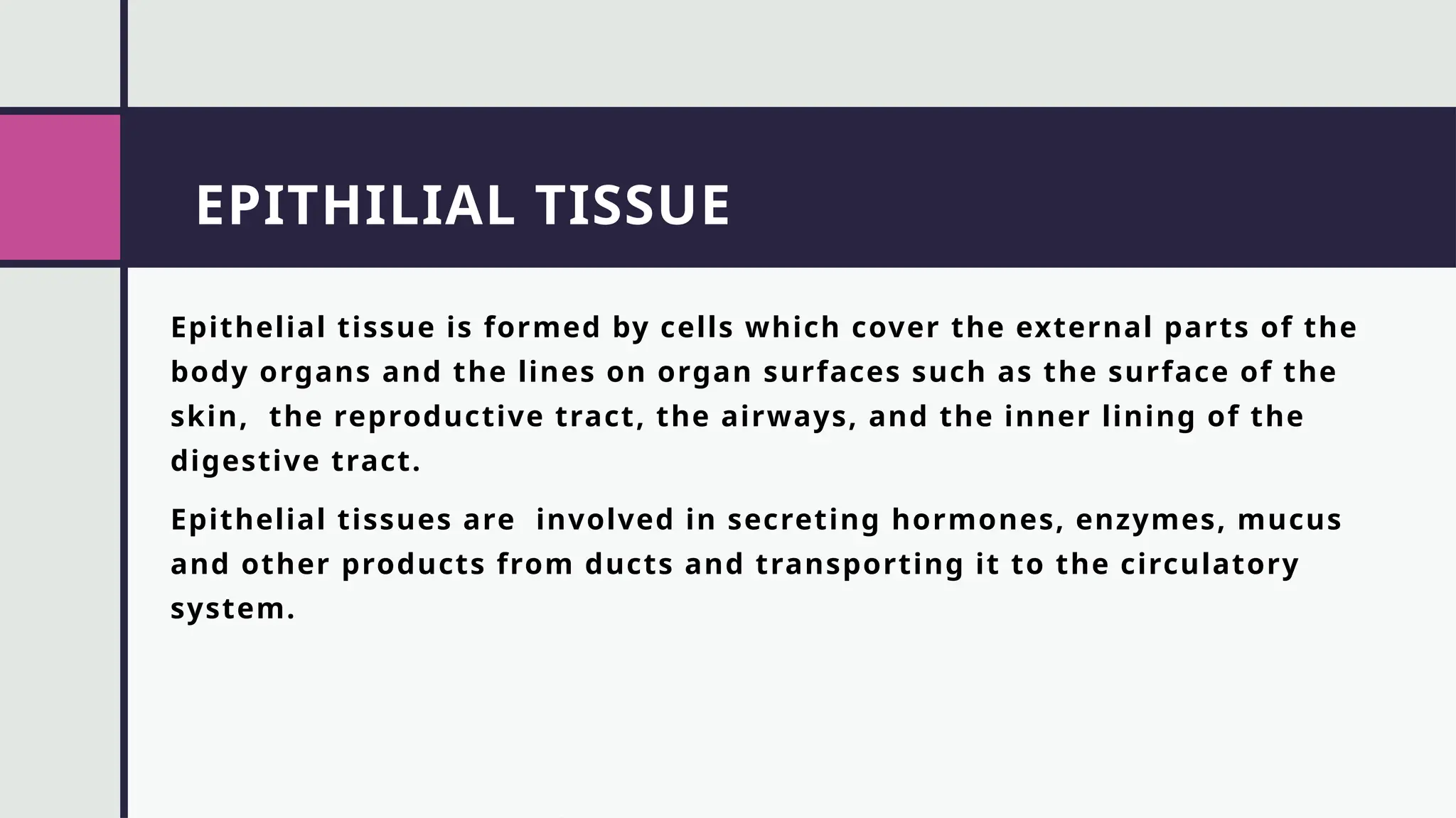 Animal Tissues.pptx @@@@@@@@@@@@@@@##### | PPT