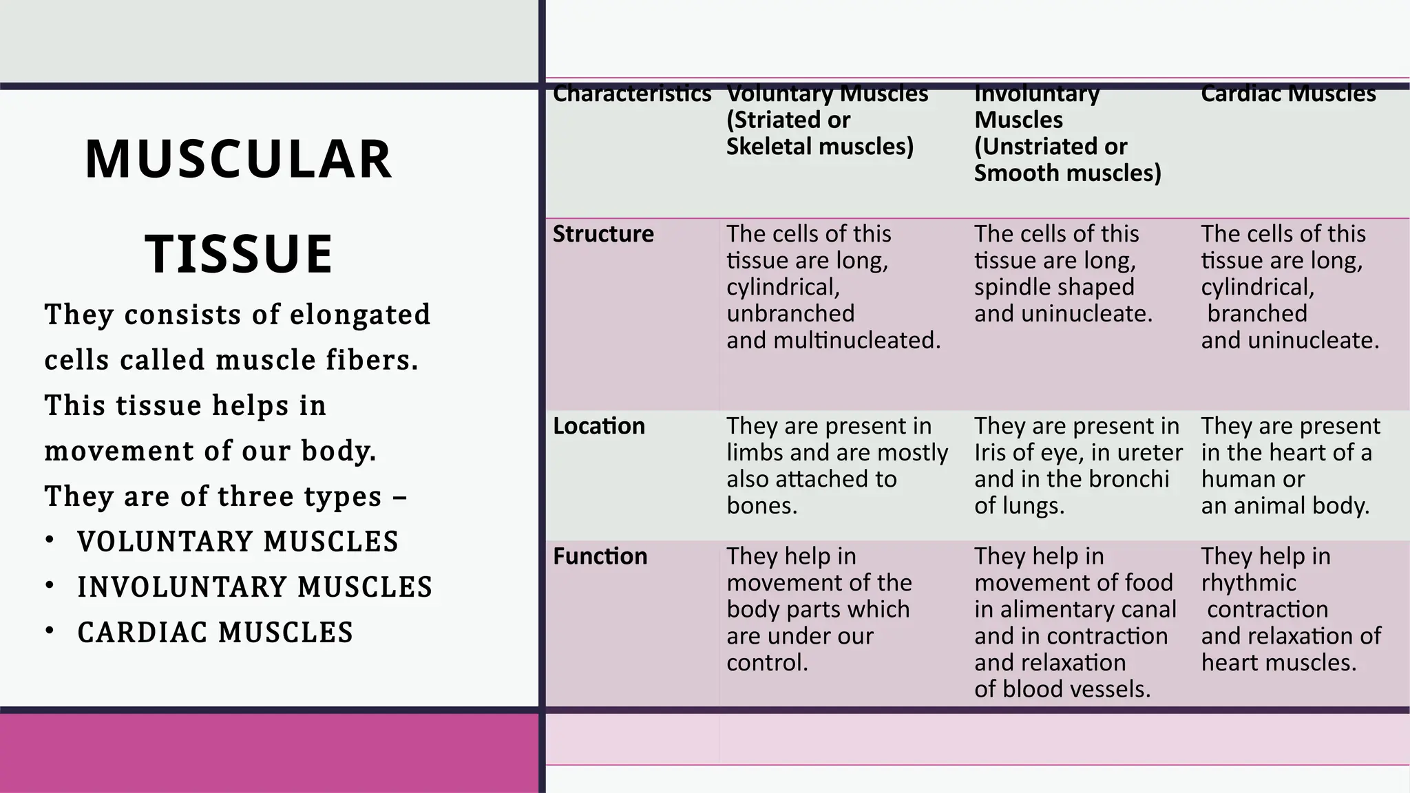 Animal Tissues.pptx @@@@@@@@@@@@@@@##### | PPT