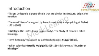 ANIMAL TISSUES 11th by medlearno neet preparation | PPTX