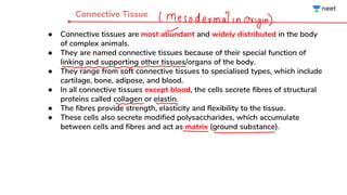 Animal Tissues- L3-connective .pdf
