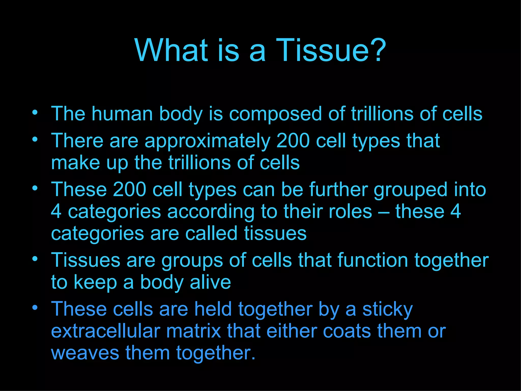 Animal Tissues And Homeostasis | PPT