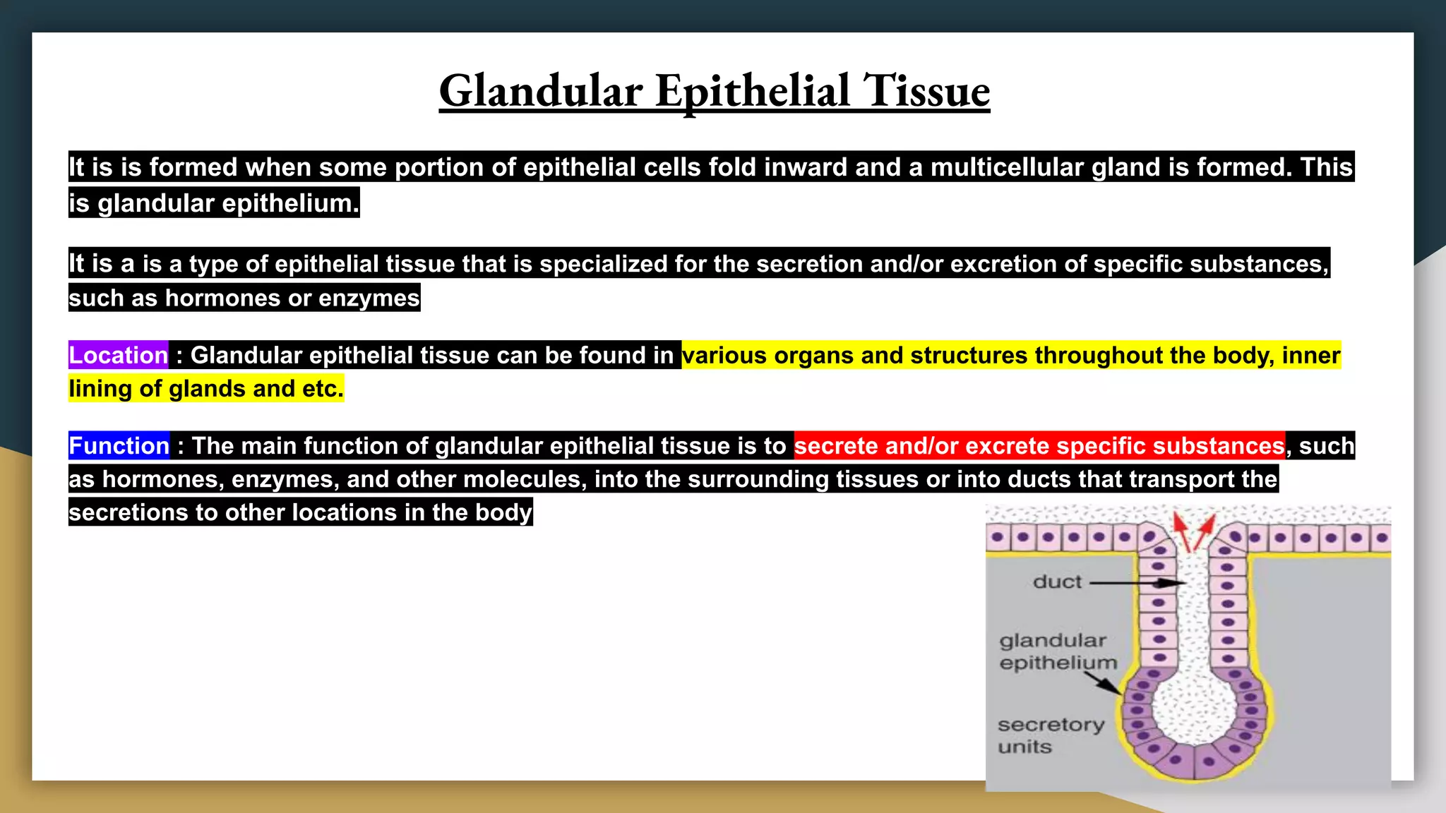 Animal Tissues class 9 cbse By Tanishq jain | PDF