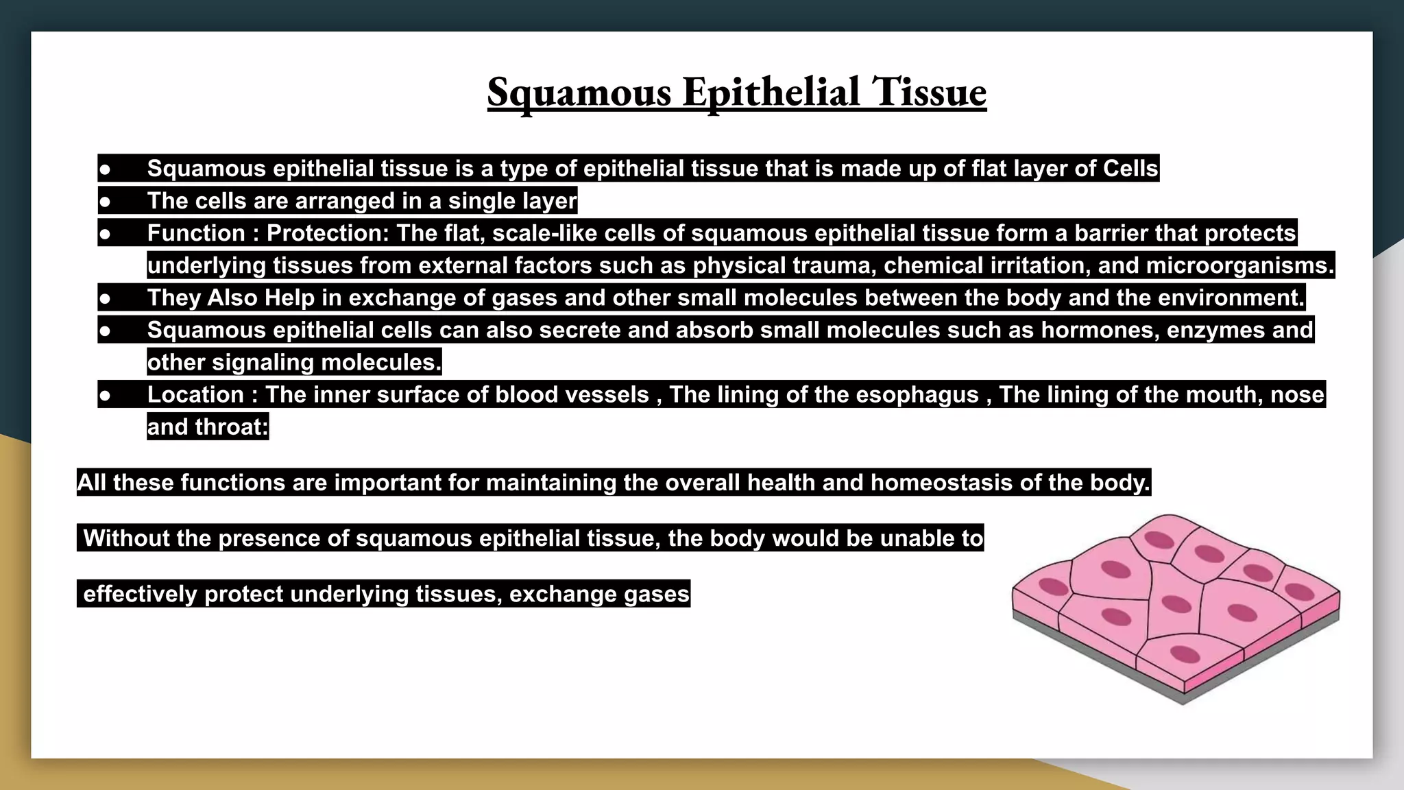 Animal Tissues class 9 cbse By Tanishq jain | PDF