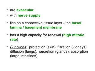 Animal tissues epithelial & connective | PPT