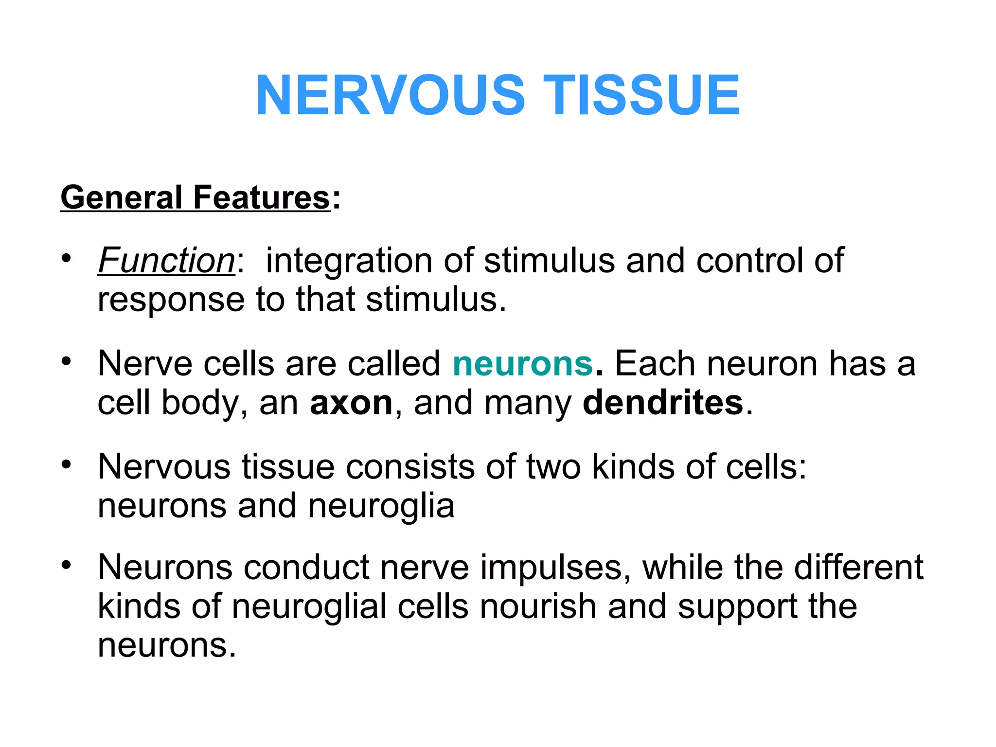 Animal tissues muscular & nervous | PPT