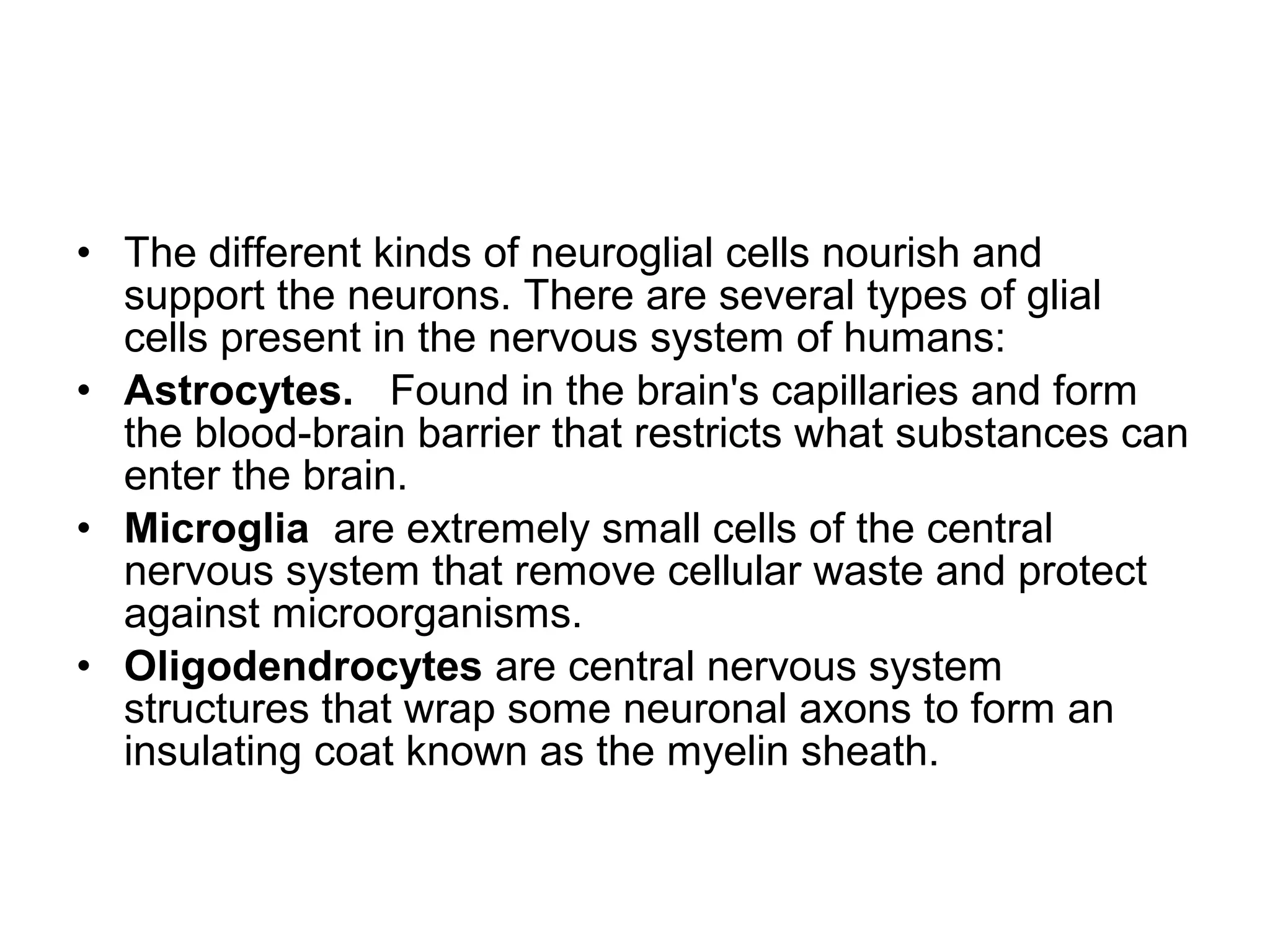 Animal tissues muscular & nervous | PPT