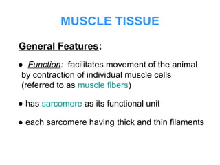 Animal tissues muscular & nervous | PPT