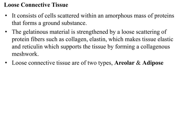 Animal Tissue Notes | PPTX | Biological Sciences | Science
