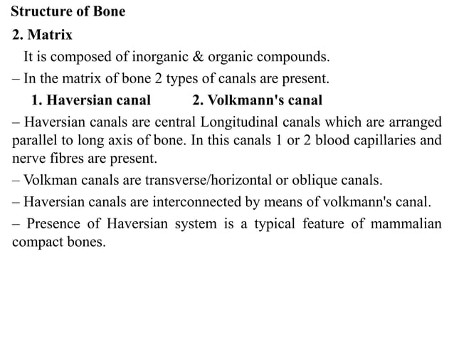 Animal Tissue Notes | PPTX | Biological Sciences | Science