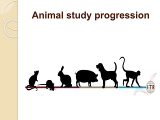 Animal Toxicity Studies | PPTX