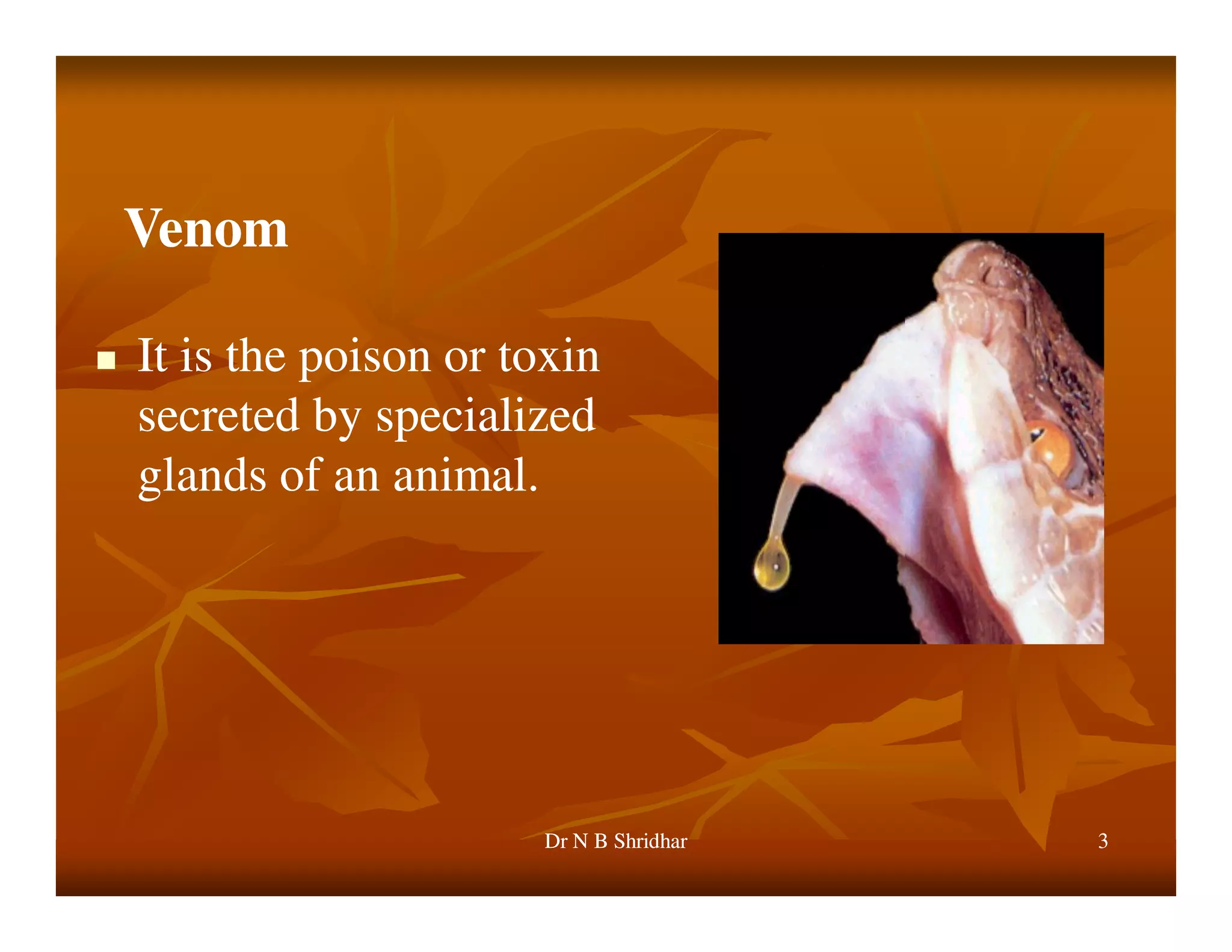 Animal toxins zootoxins and snake venom toxicity by Dr N B Shridhar | PDF