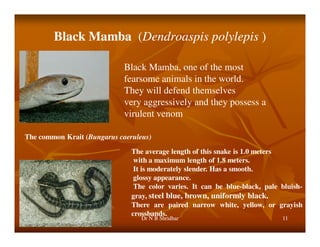 Animal toxins zootoxins and snake venom toxicity by Shridhar N B | PDF