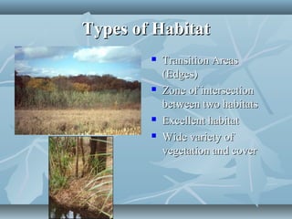 Animal tracking | PPT