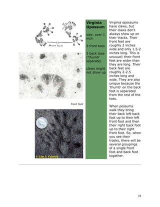 Animal tracks and signs study guide jr. varsity 2007 | PDF