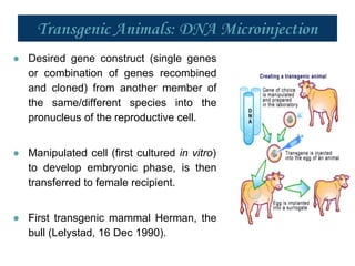 Animal transformation | PDF