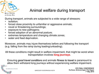 Animal transport legislation and conditions of long distance transport ...