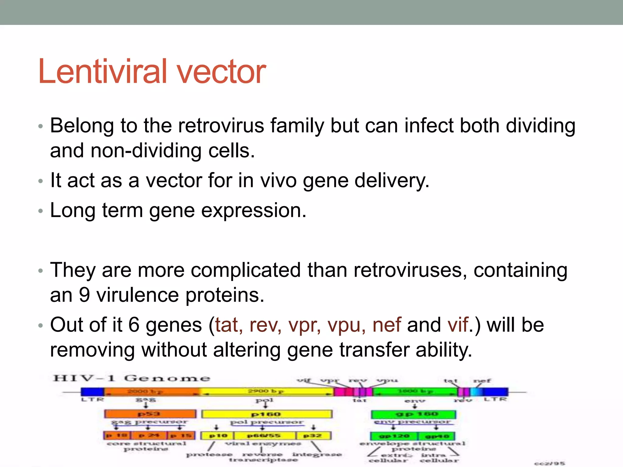 Animal viral based vectors | PPTX