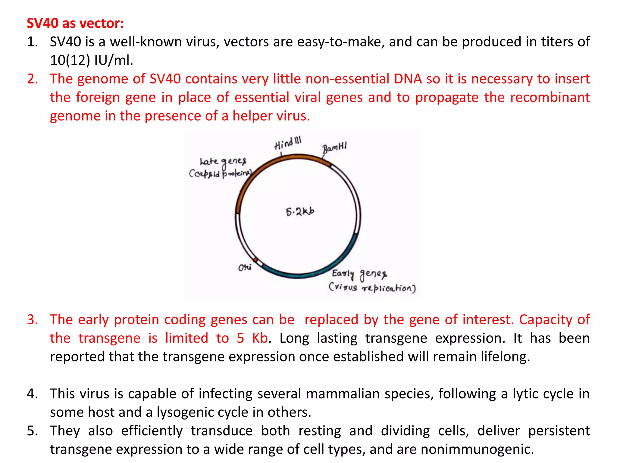 Animal viral vector | PDF