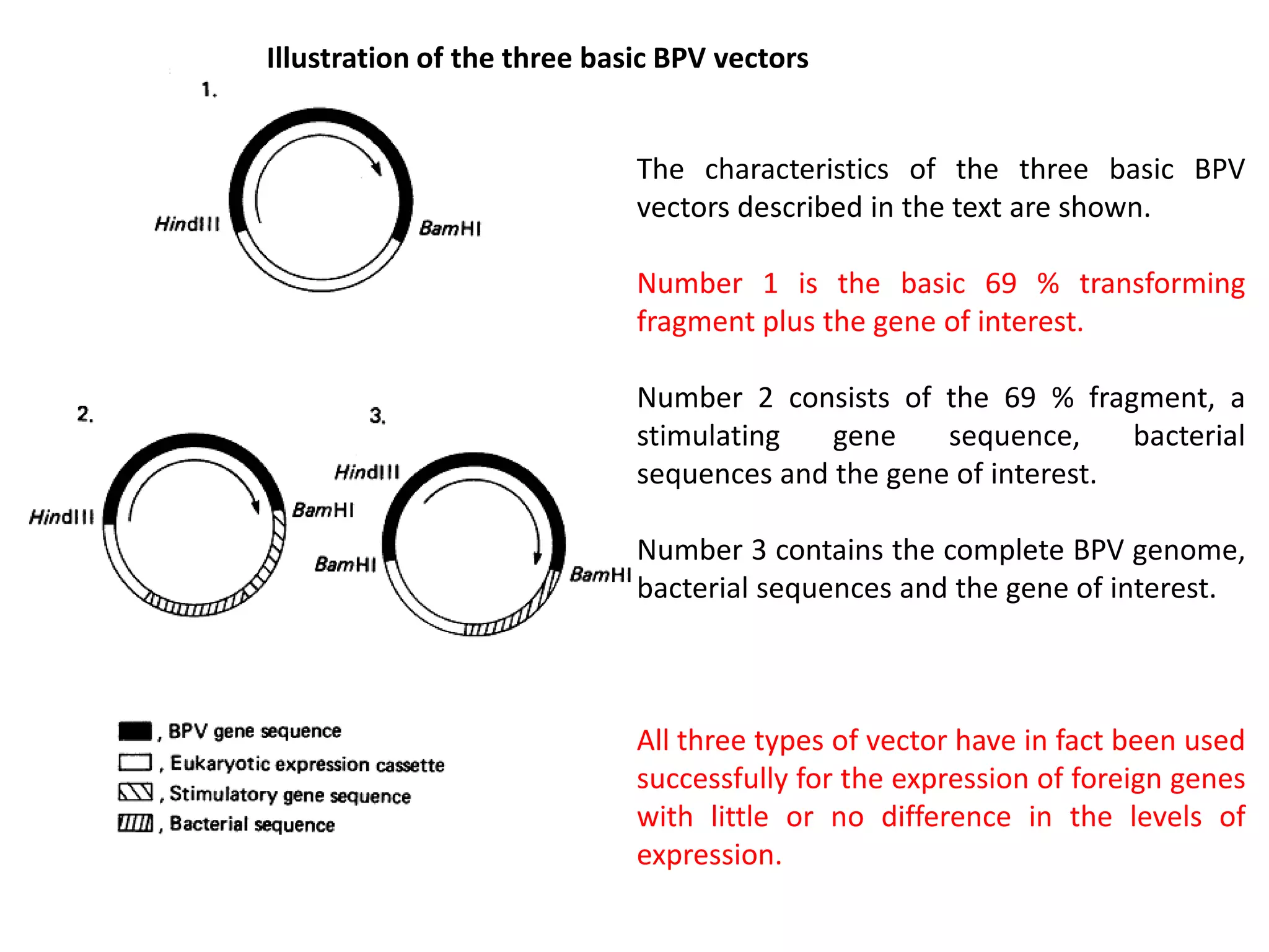 Animal viral vector | PDF