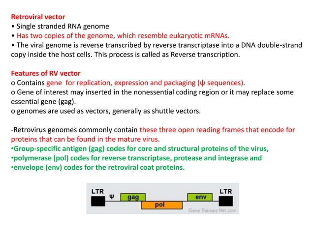 Animal viral vector | PDF
