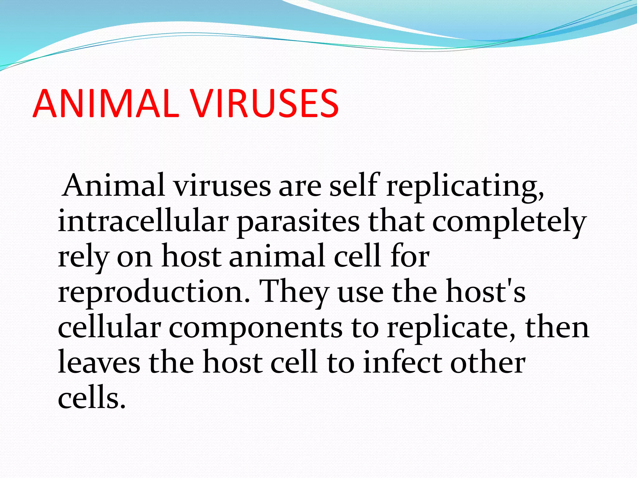 Animal viruses | PPTX