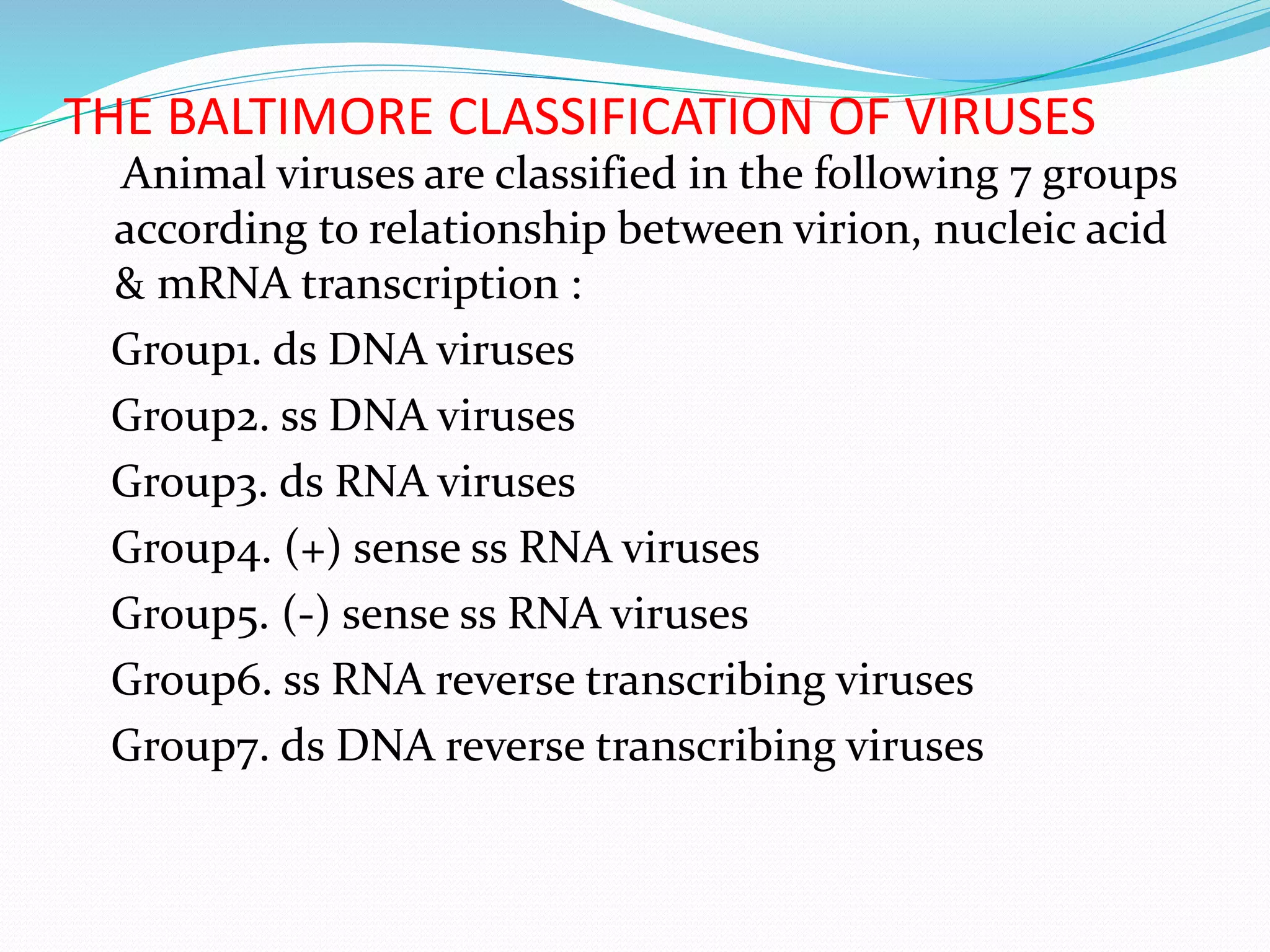 Animal viruses | PPTX