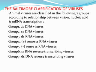 Animal viruses | PPTX