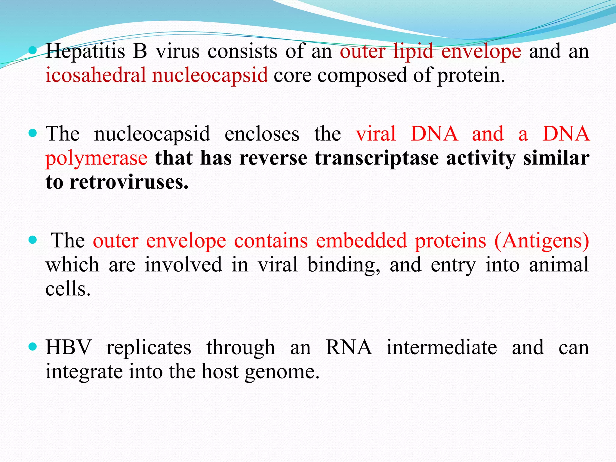 Animal viruses Hepatitis B virus Herps simplex virus HIV virus | PPTX
