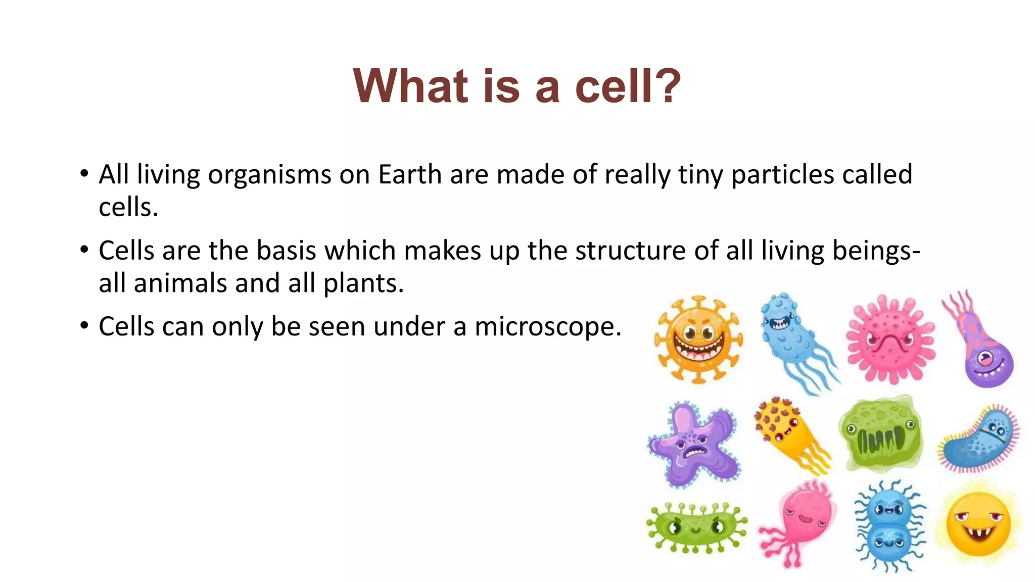 Animal vs plant cells.pptx