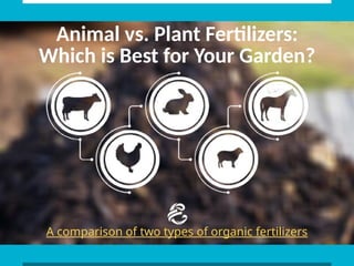 Animal vs Plant Fertilizers: The Ultimate Organic Fertilizer Breakdown ...