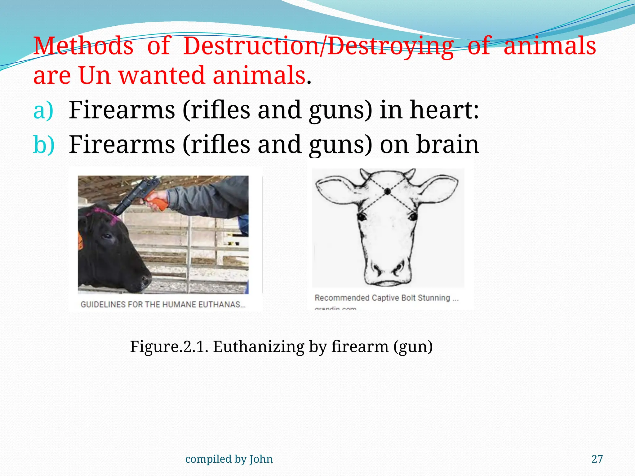 Animal walfare.pOERPOINT FOR TVET STUDENTS | PPTX