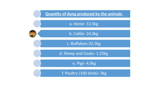 Animal waste Managenb cb vnbvnb vn nment.pptx