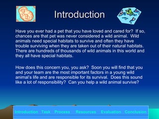 Animal WebQuest activity | PPT