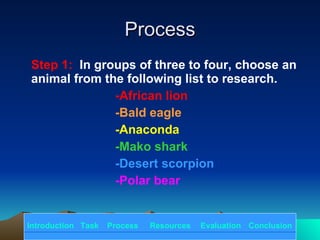 Animal WebQuest activity | PPT