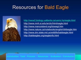 Animal WebQuest activity | PPT