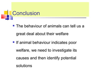 Animal welfare | PPT