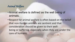 Animal welfare | PPTX